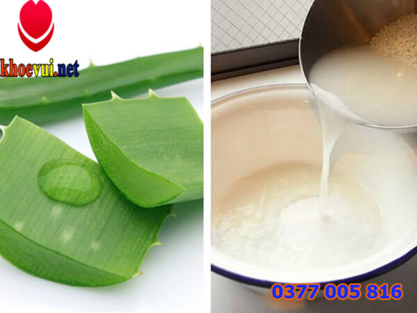 Cách làm gel bôi trơn từ nha đam đơn giản - Khỏe Vui